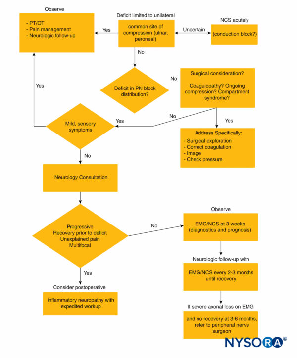 Assessment of Neurologic Complications of Regional Anesthesia - NYSORA