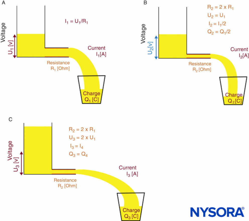 Electrical Nerve Stimulators and Localization of Peripheral Nerves - NYSORA