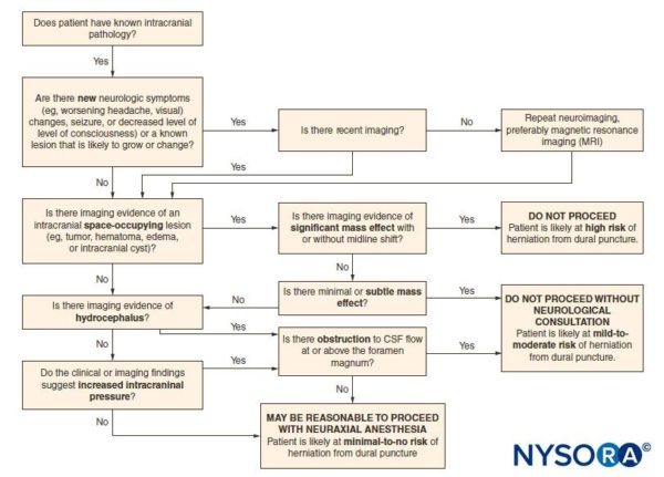 Epidural Anesthesia and Analgesia - NYSORA