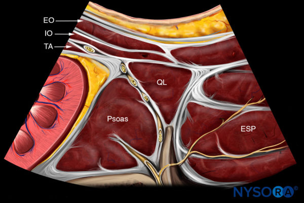 Anesthesia Conference: Masterclass on Regional Anesthesia - Vilamoura ...