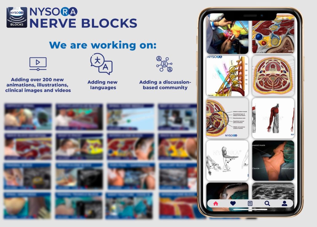 NYSORA’s Nerve Blocks App Gets Even Better! - NYSORA