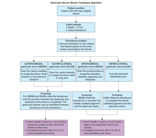 Genicular Nerve Blocks - NYSORA