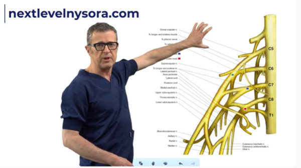 Anesthesia for Rotator Cuff Repair - NYSORA