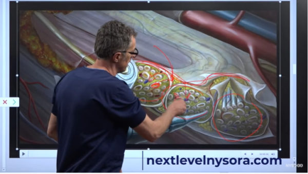 Anesthesia for Rotator Cuff Repair - NYSORA