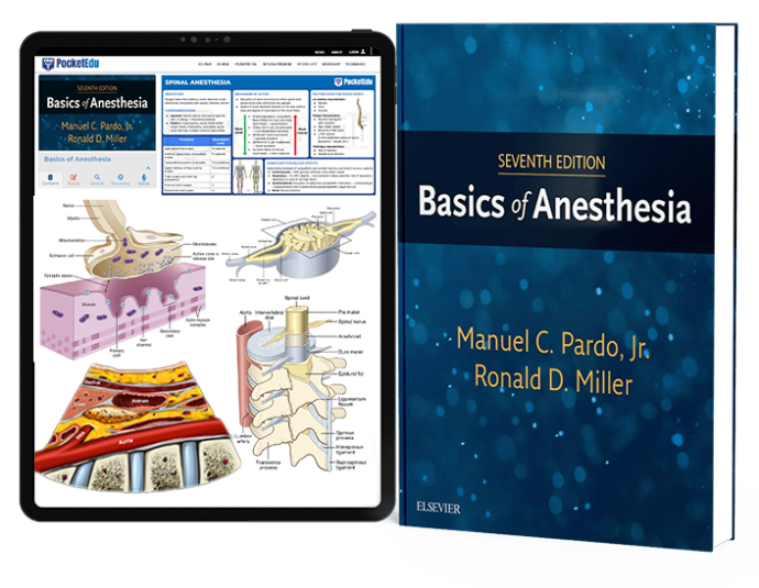 Scope Of Anesthesia Practice - NYSORA