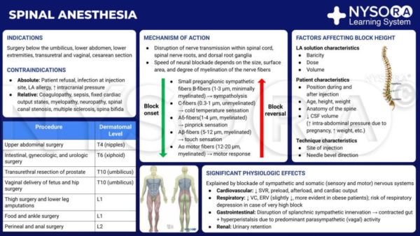 Become a Superstar in the OR with the Paramedian Technique - NYSORA