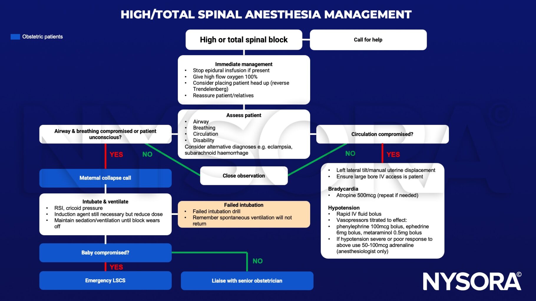 High or total spinal anesthesia - NYSORA | NYSORA