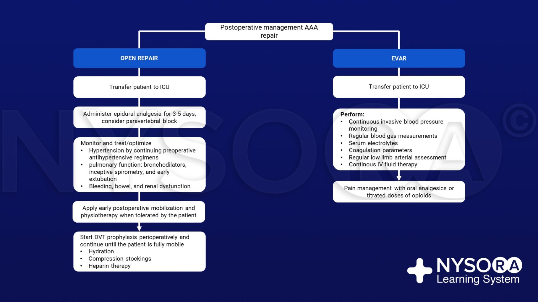 Riparazione post-operatoria AAA + EVAR - NYSORA