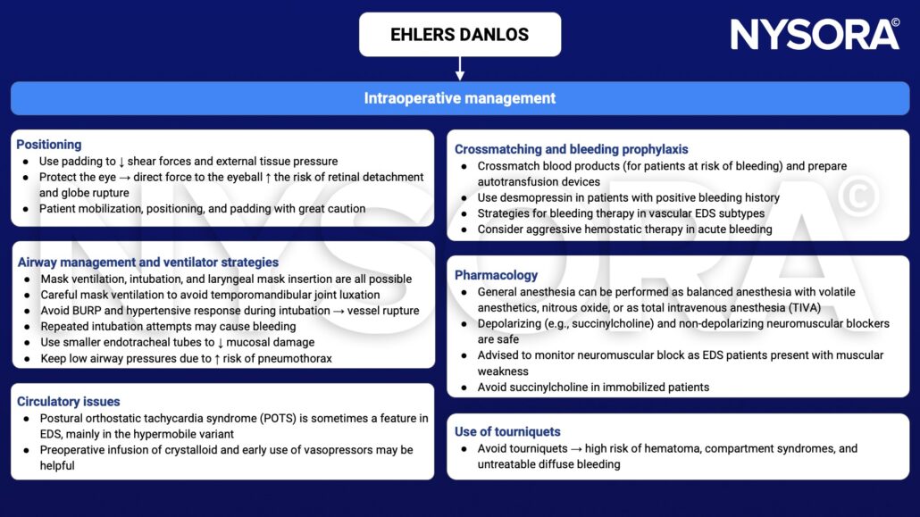 Ehlers Danlos Syndrome Nysora