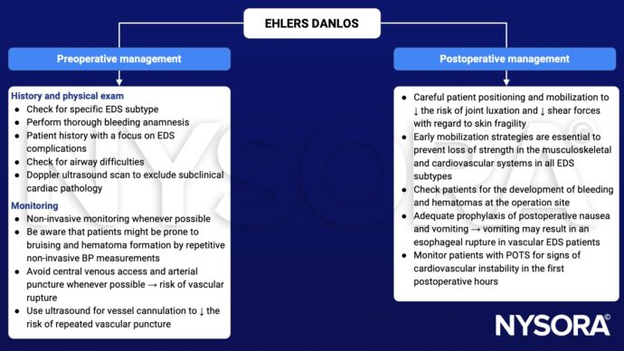Ehlers Danlos Syndrome Nysora