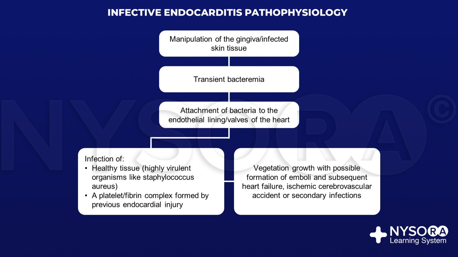 Infective endocarditis pathophysiology - NYSORA