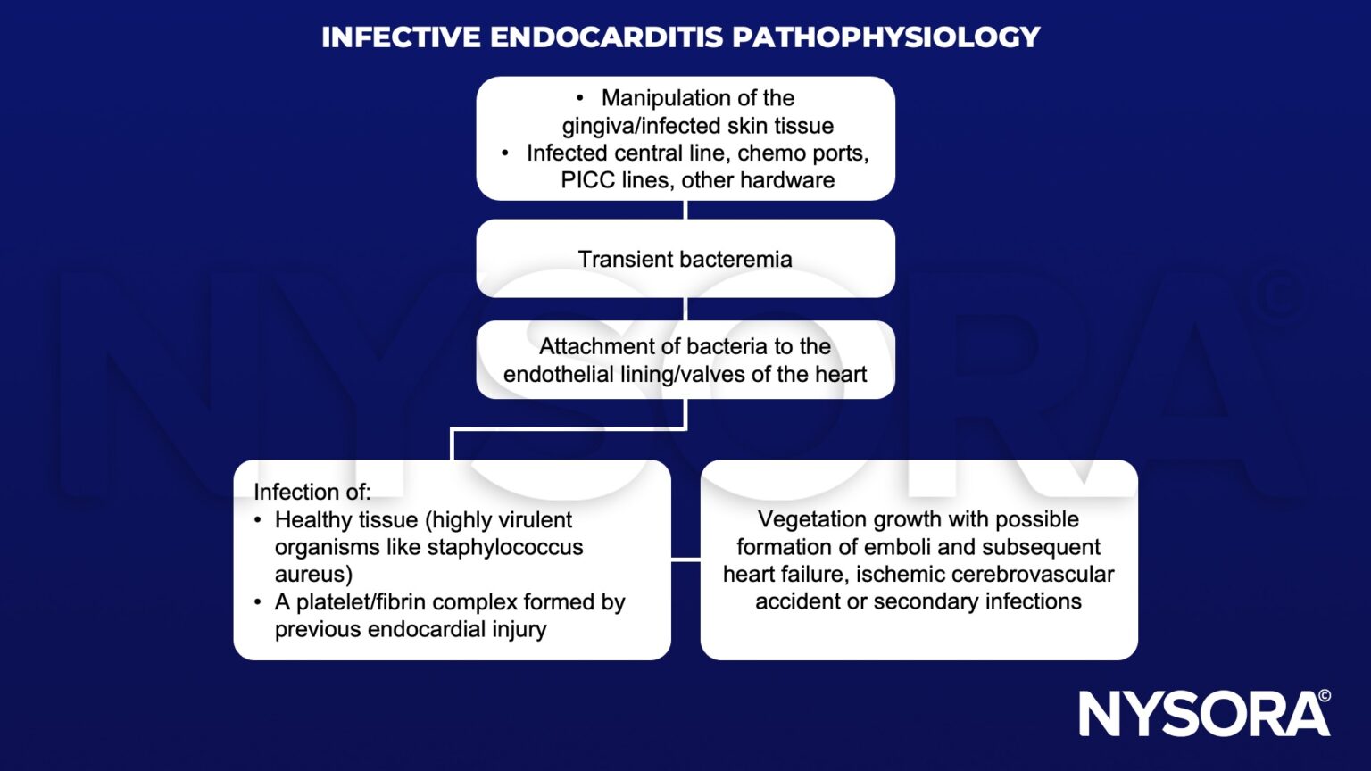 Infective endocarditis: Prophylaxis - NYSORA
