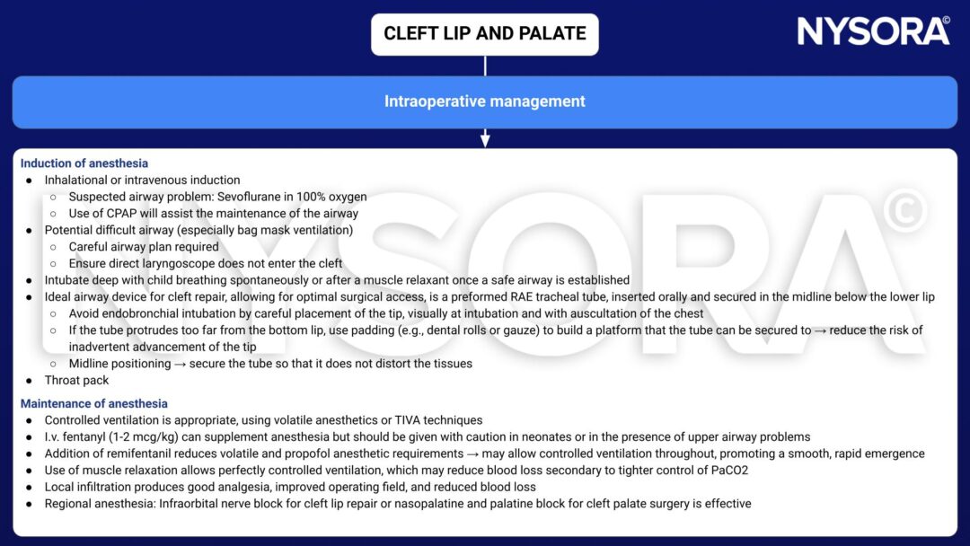 Cleft lip and palate - NYSORA