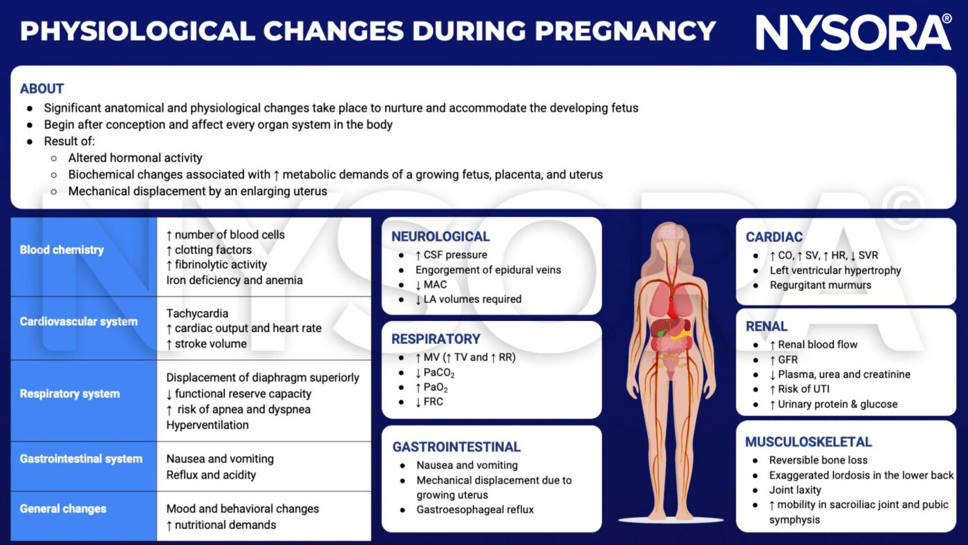 Physiological changes during pregnancy - NYSORA