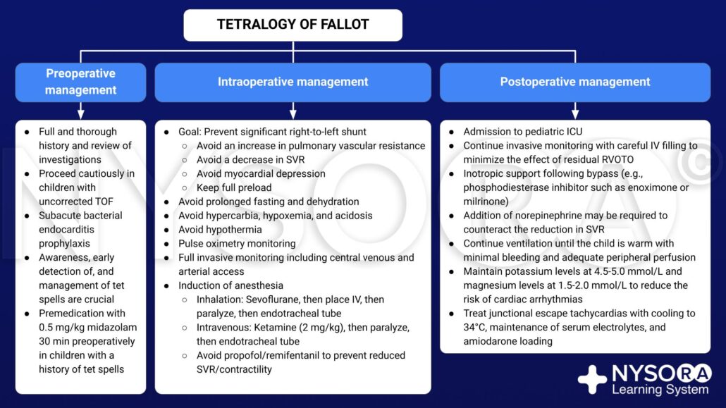 Tetralogy of Fallot management - NYSORA | NYSORA