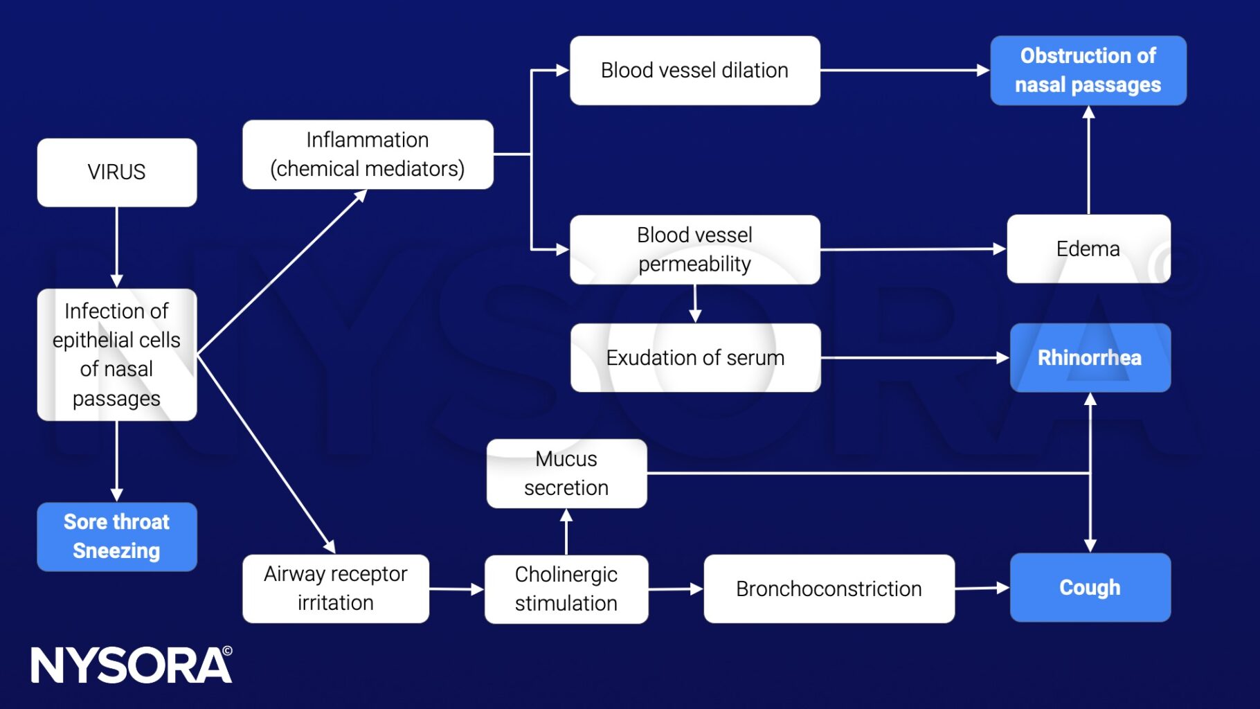 Upper respiratory tract infection - NYSORA