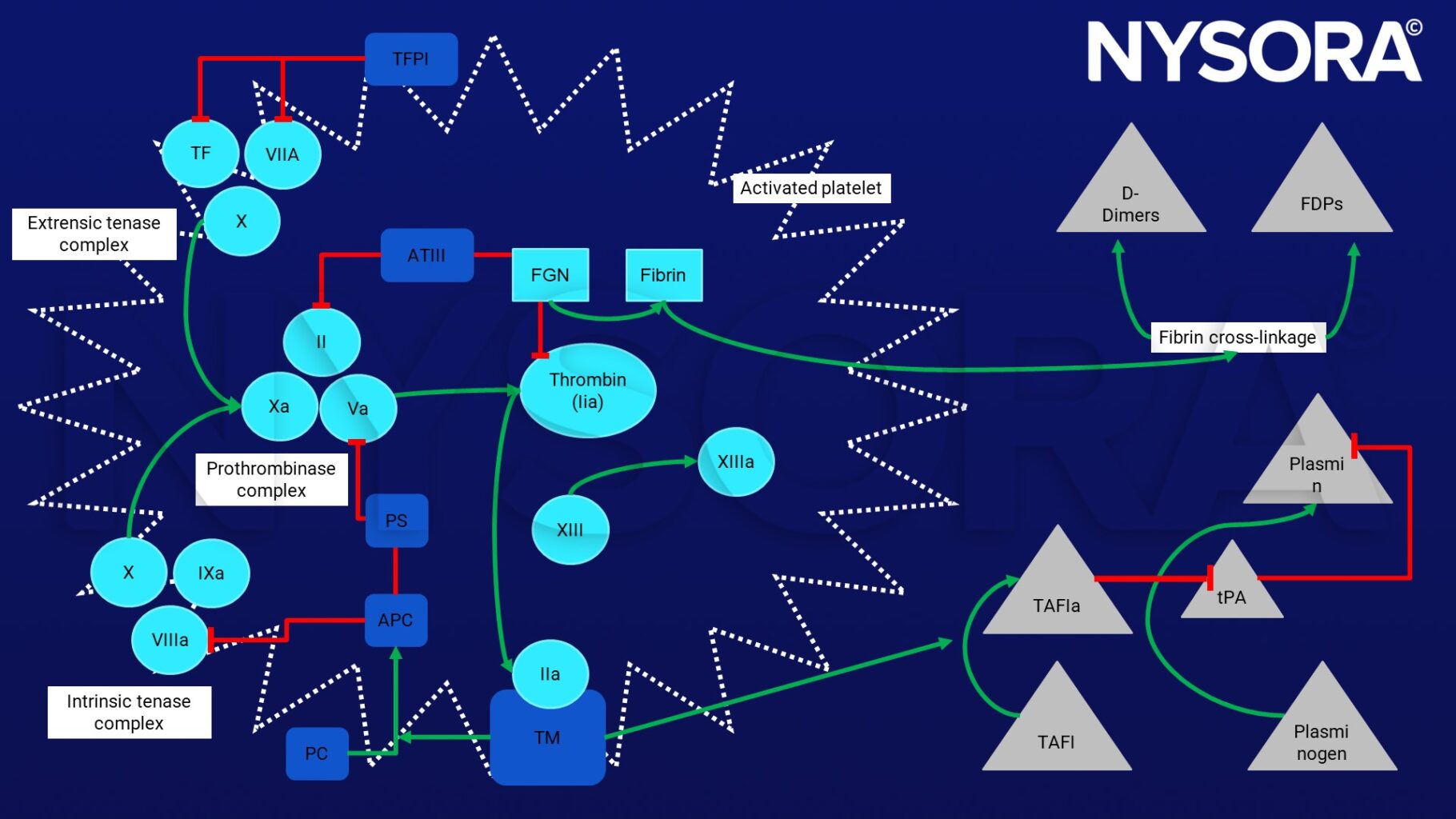Perioperative bleeding - NYSORA