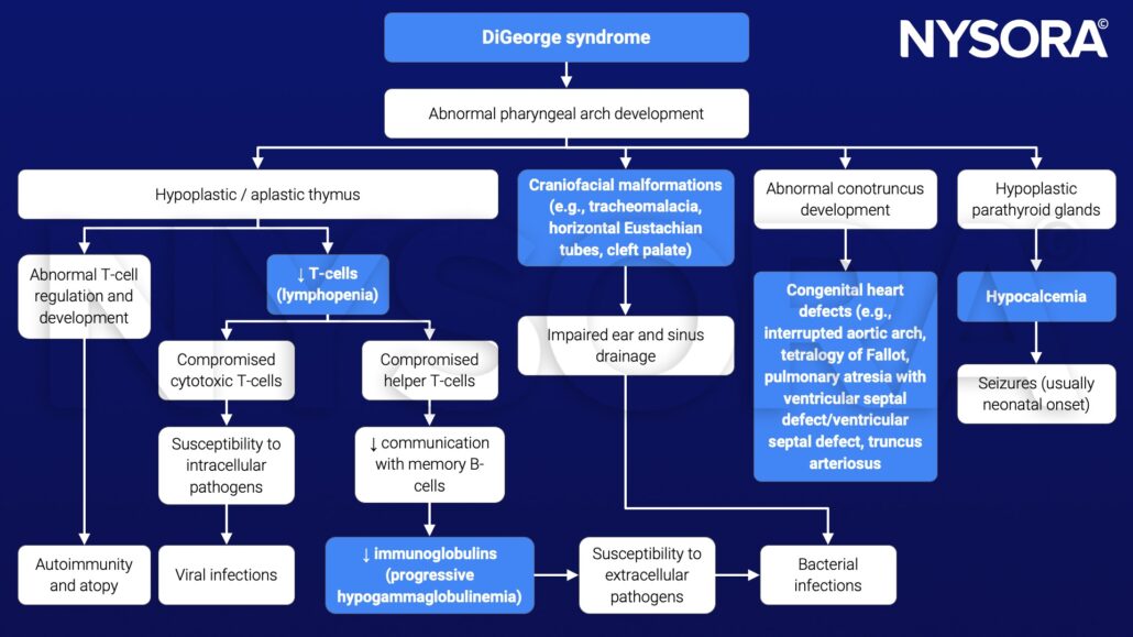DiGeorge syndrome - NYSORA