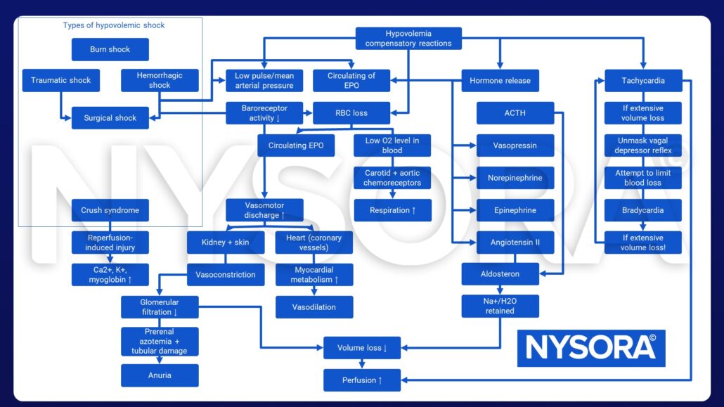 Hypovolemia - NYSORA