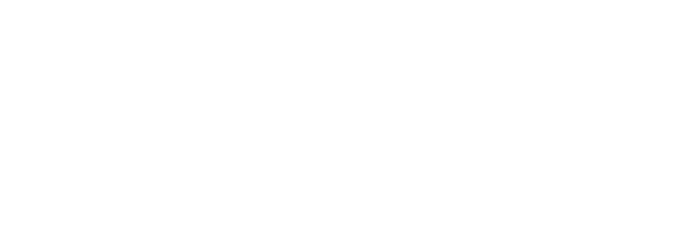 MSK Ultrasound of the Knee at Its Best - NYSORA