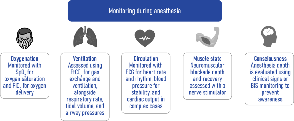 Understanding consciousness during general anesthesia - NYSORA