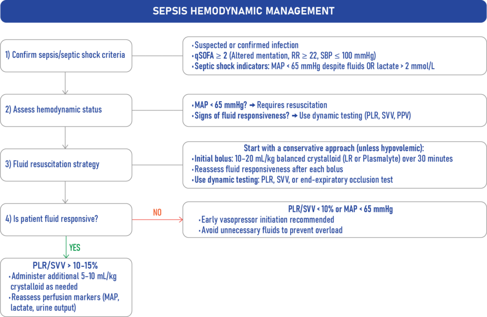 Hemodynamic support in sepsis - NYSORA