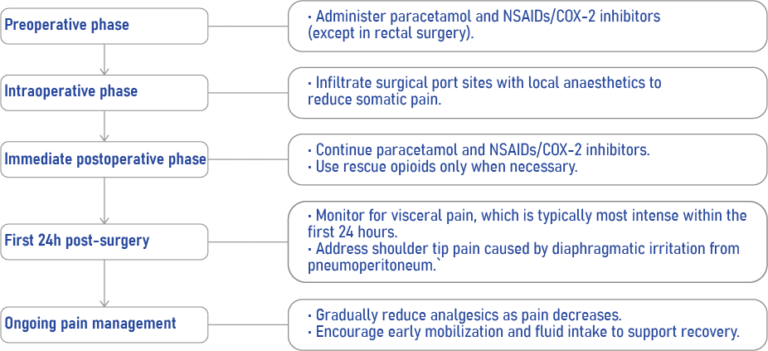 Postoperative Pain Management Guidelines for Laparoscopic Colorectal ...