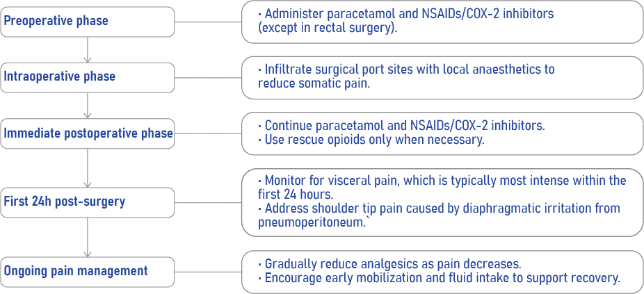 Postoperative Pain Management Guidelines for Laparoscopic Colorectal ...