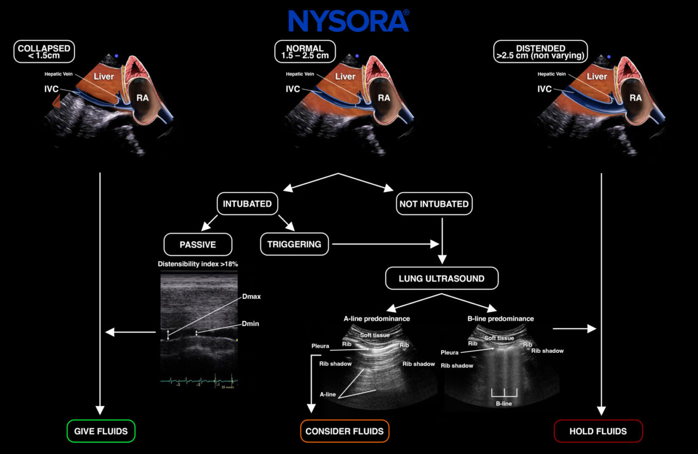 Volume status assessment - NYSORA